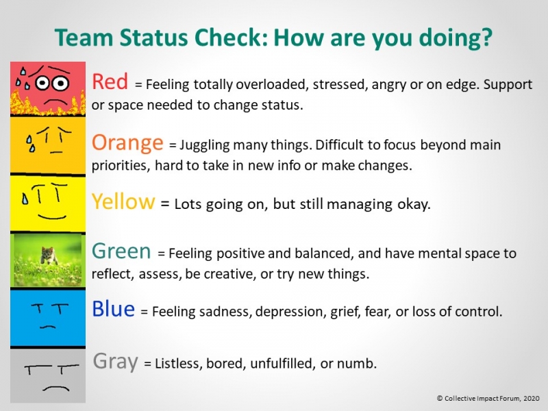 team-color-check-in-tool-collective-impact-forum